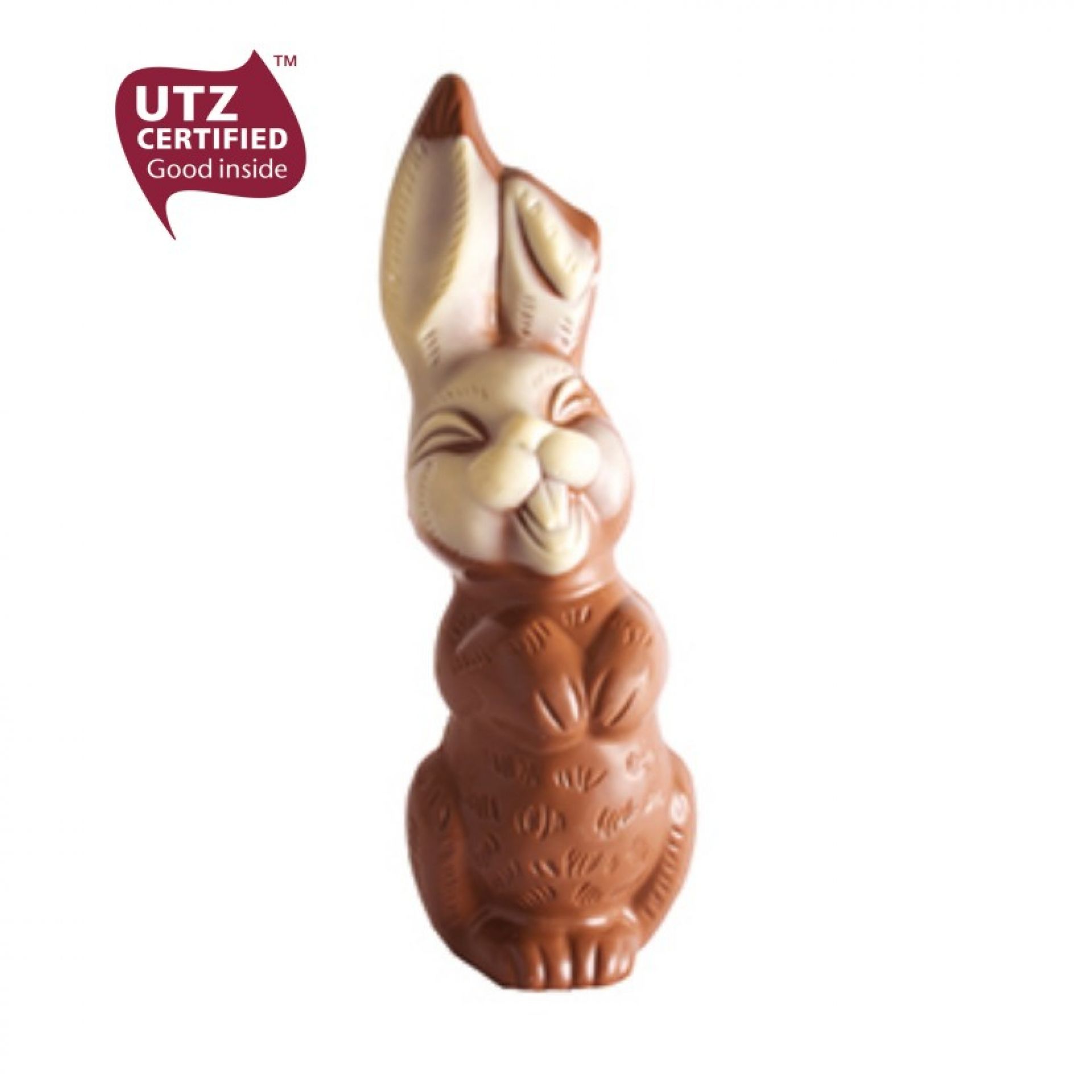 Chocolade Paashaas van 48 cm - LogoChoc